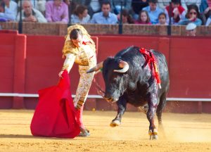 What is “corrida”? Everything about corrida in Spain | Privetmadrid.com